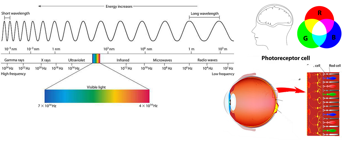 False Colour Composites: Unveiling Nature’s Spectrum - from a ...