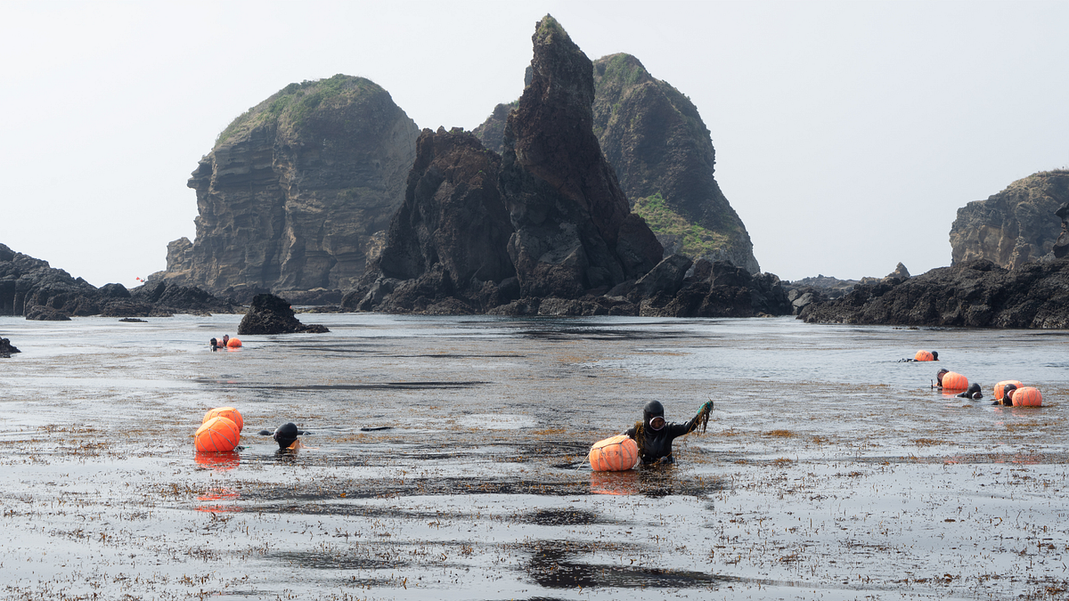 The Haenyeo: The Unveiling the living legends of women at sea | by ...
