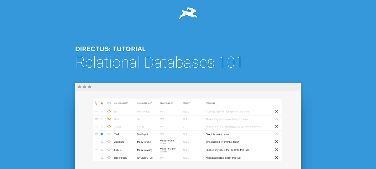 Relational Databases 101. The biggest strength of Directus is… | by Rijk van Zanten | Directus ...