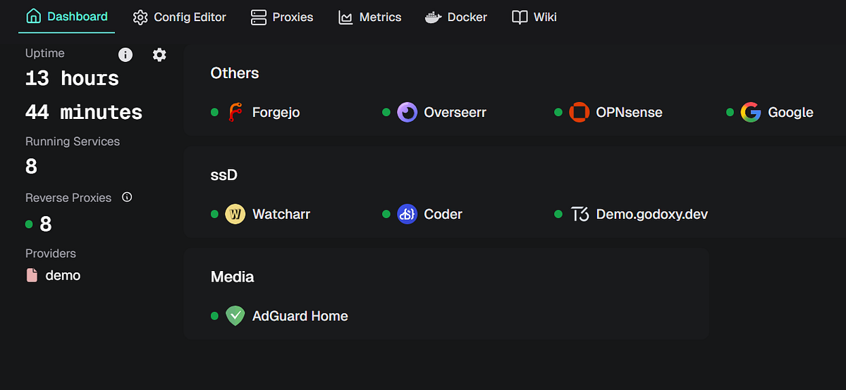 GoDoxy: Hassle-Free Reverse Proxy Management | by Code Pulse | Coding Nexus | Jul, 2025 | Medium