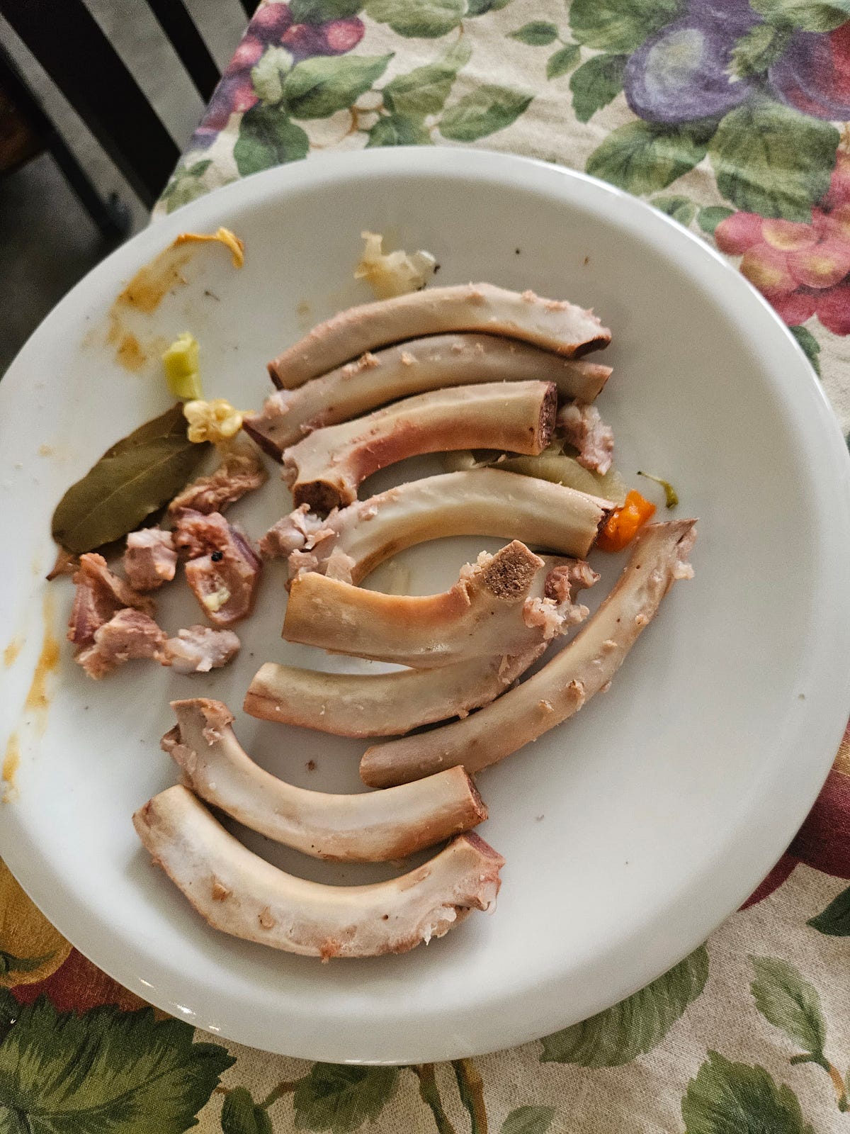 On Sucking the Marrow from the Ribs I Used for Bone Broth | by ...