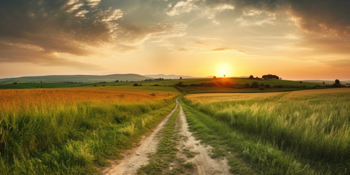 Embracing Rural Living: Creating an Authentic Life for Your Children’s ...