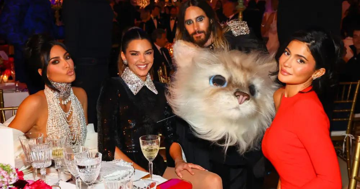 The Mesmerizing Met Gala Cat Costume | by Sk Jadoon | Medium