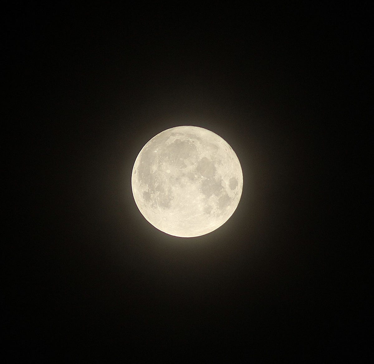 Fresh as an angel star fish. smile as mother the moon, shines | by ...
