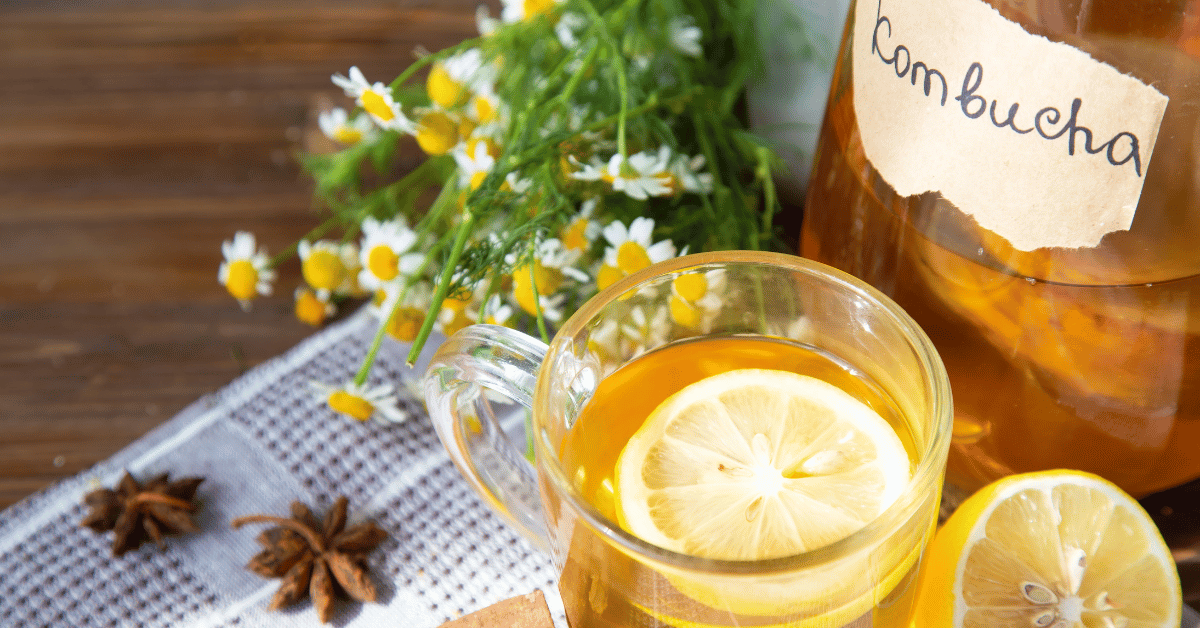 Kombucha Mold: Understanding, Prevention, and Remedies | by kombucha ...