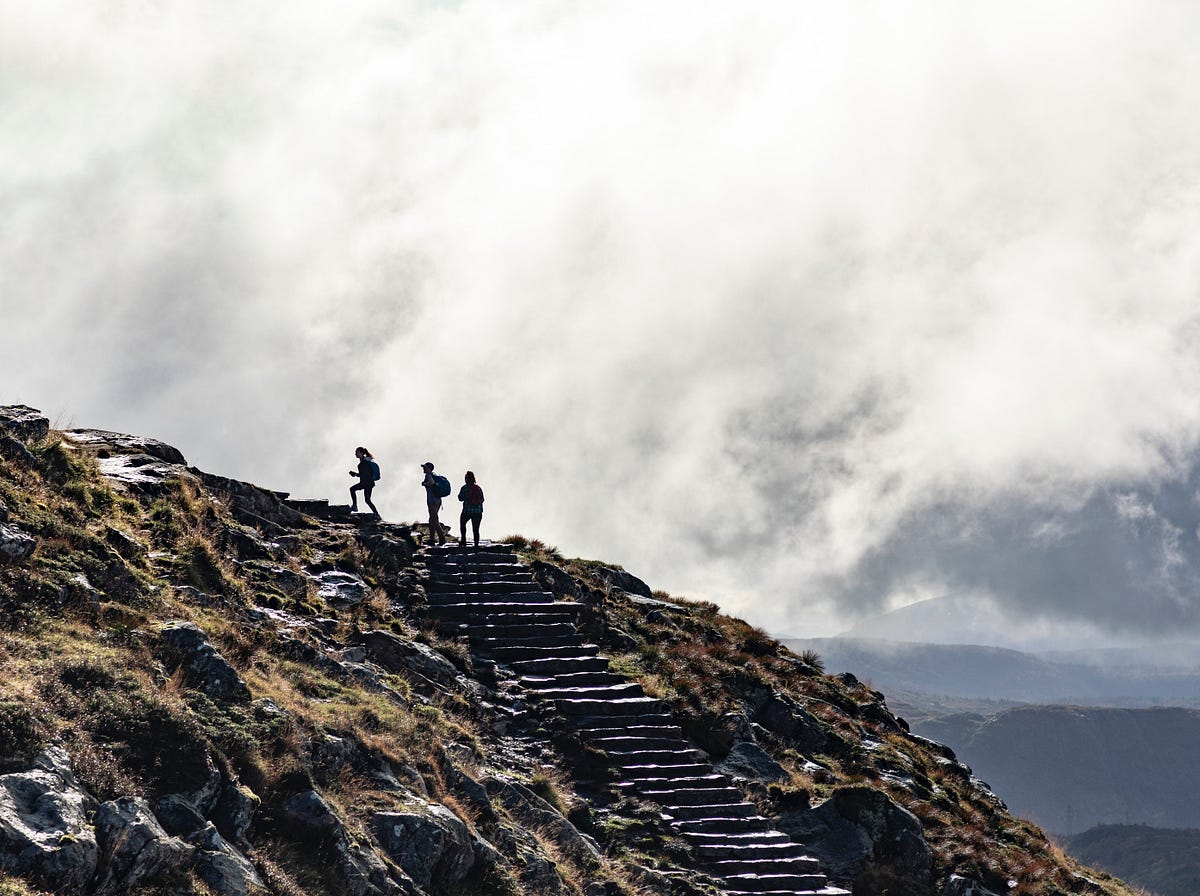 Surviving and thriving at a high-growth tech company | by Mark Peard ...