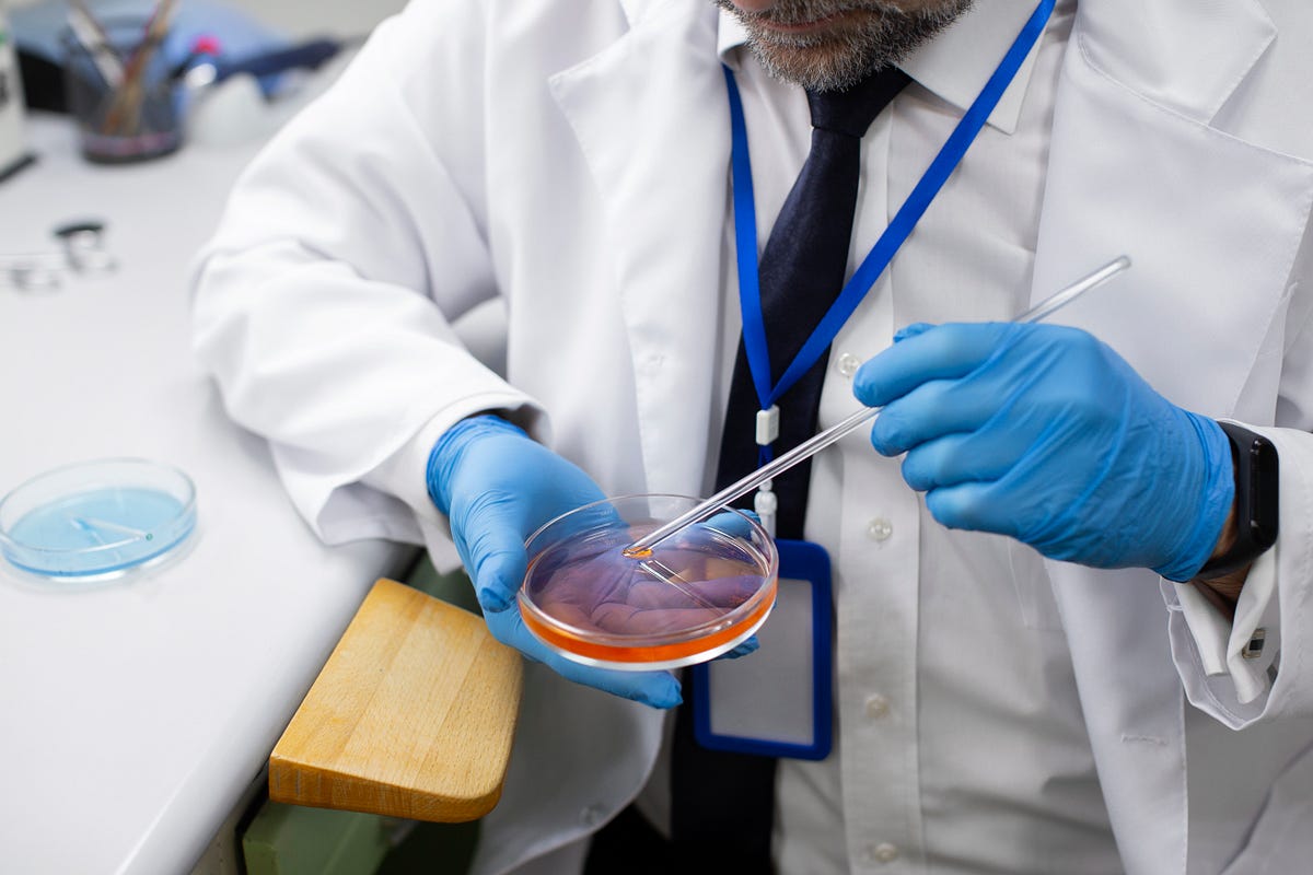 UNDERSTANDING HEAVY METAL CONTAMINATION IN FOOD: RISKS AND TESTING ...