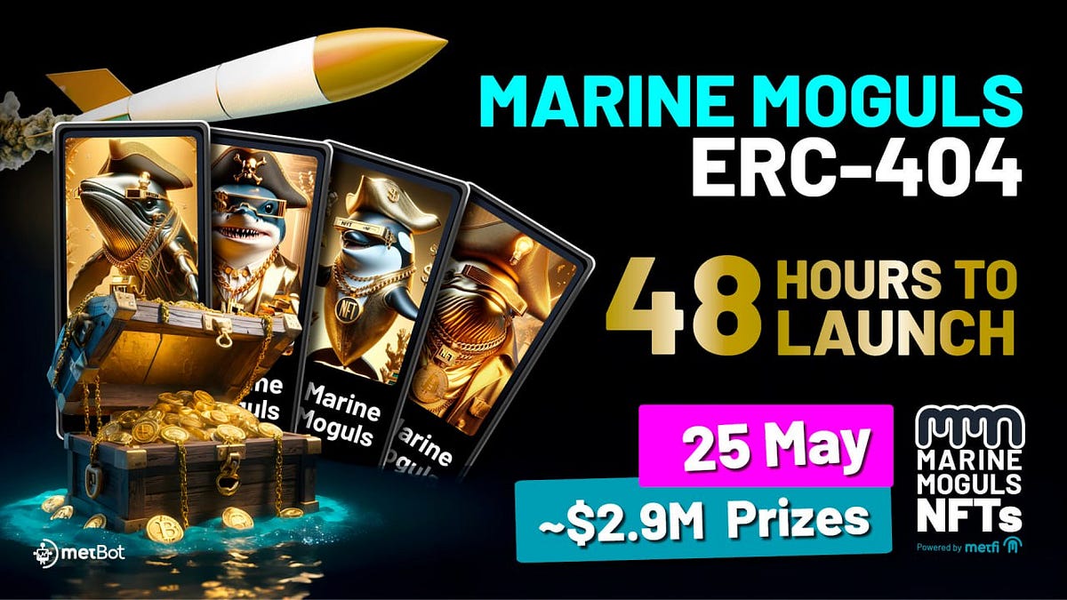 48 Hours To Marine Moguls ERC-404 Launch | by MetFi DAO | May, 2024 ...