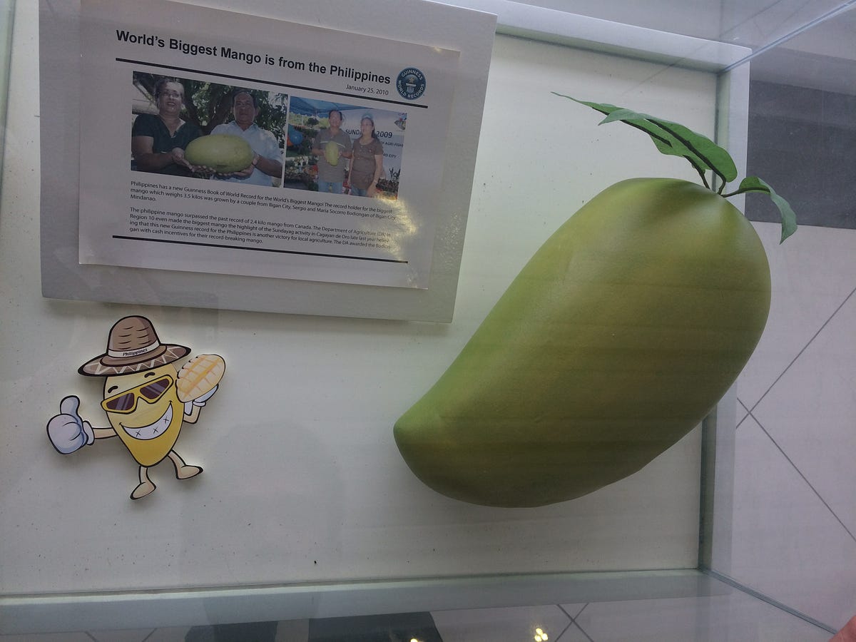 Mango Factory. Profood International Corporation is… | by Thea Barte ...