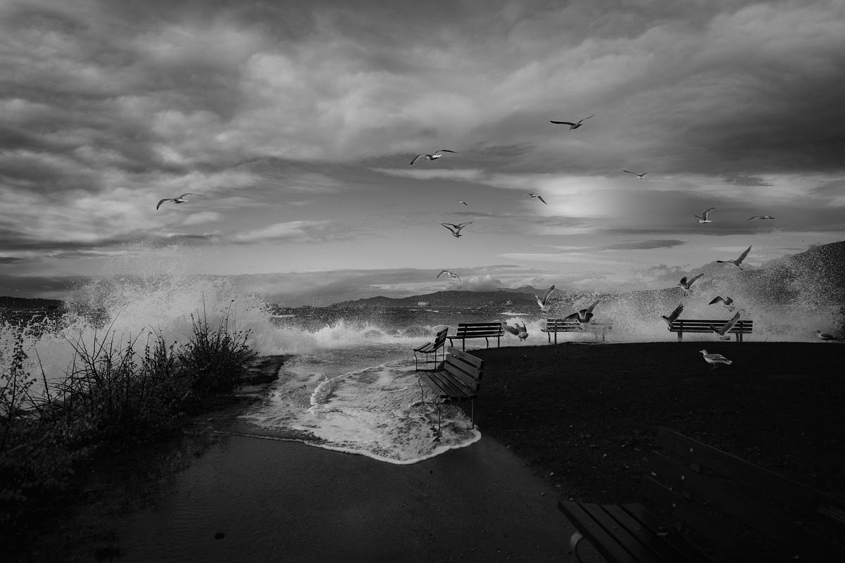 Until I Am Fog. Life in living portrait | by Roman Newell | The ...
