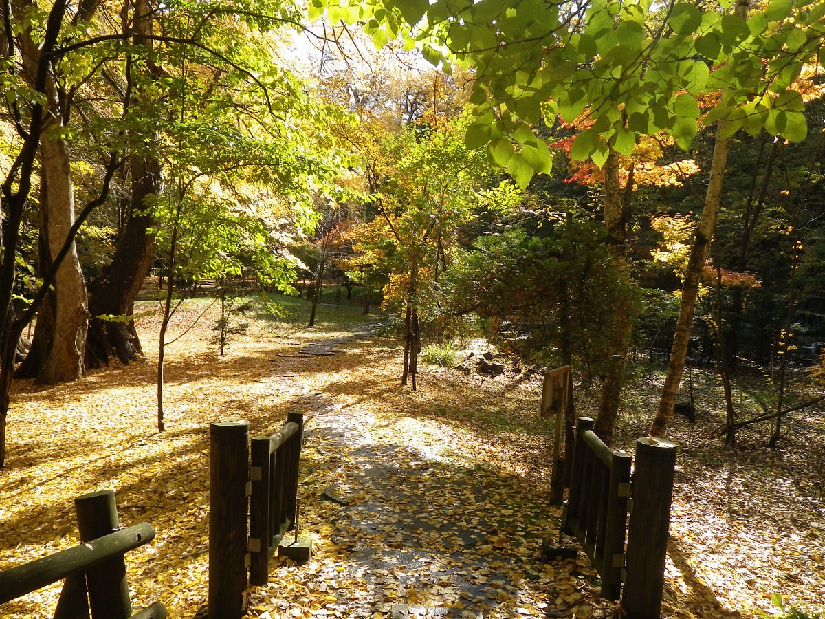 The Changing Of Seasons - Tanka Town - Medium