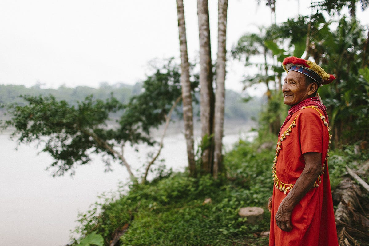 Protecting the rainforest, powering the people | by The Beam ...