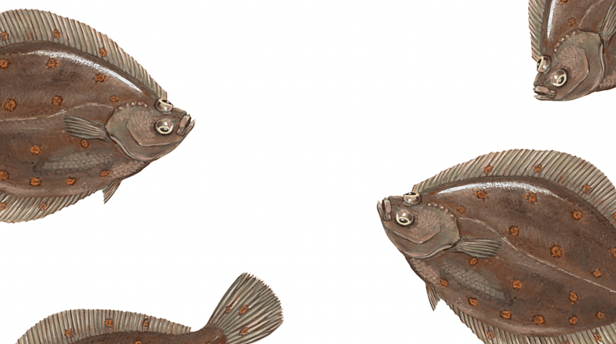 We are all fish. In Lauren Silverman’s beautiful piece… | by Lucy | Medium