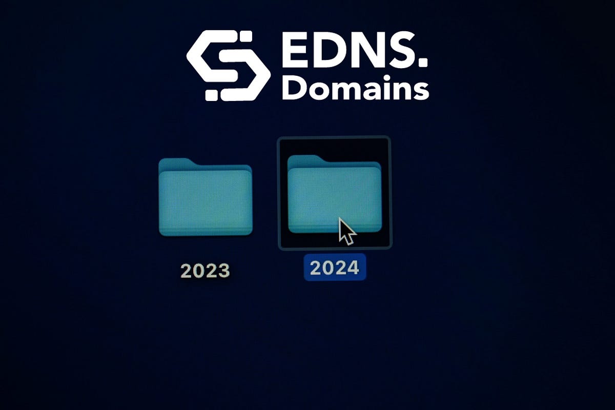 Beyond Storage: EDNS Domains’ Evolution in 2023 and the Roadmap for a ...