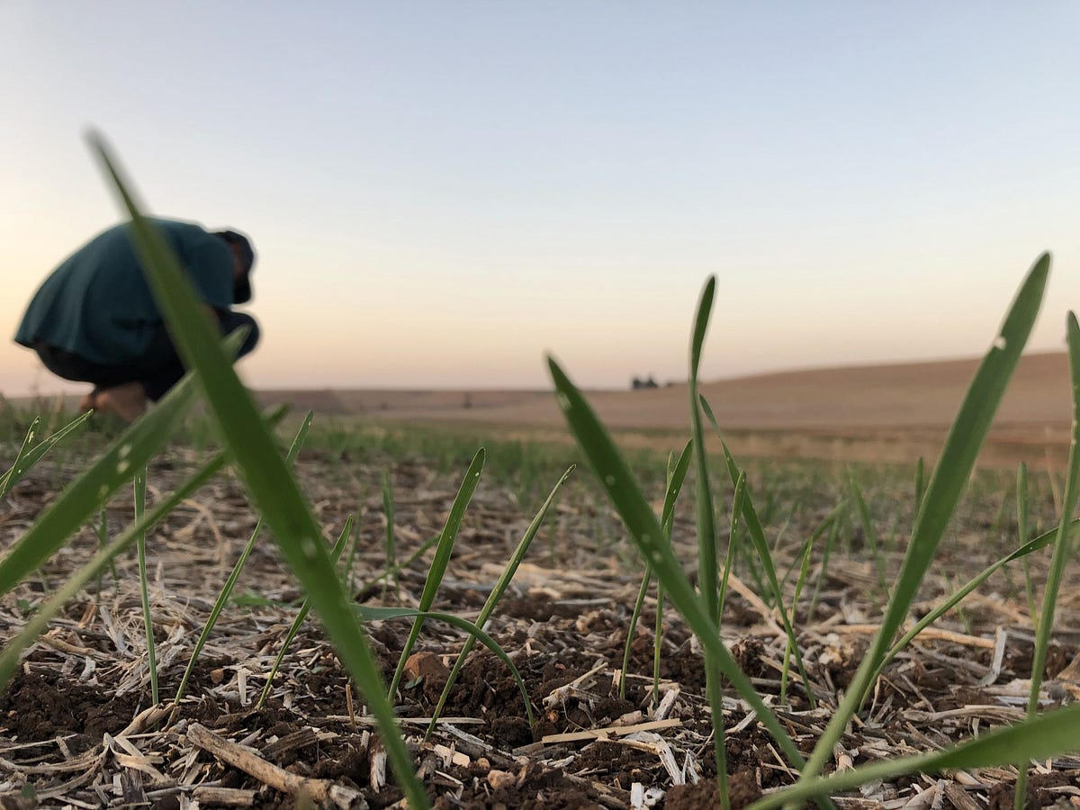 Support the Soil, Support Ourselves: The Benefits Beneath Our Feet | by ...