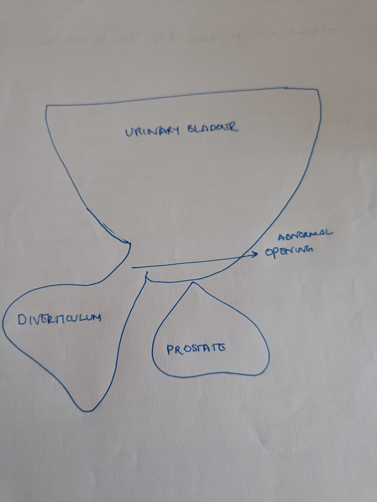 WHEN DRAWING A DISEASE HELPED MY PATIENT-AND ALSO MADE ME REALISE I ...