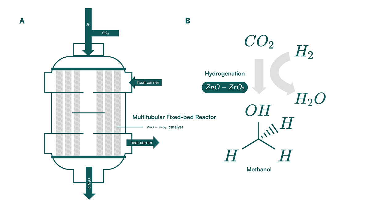 Feeding The Growing Population With Starch Produced From Carbon Dioxide ...