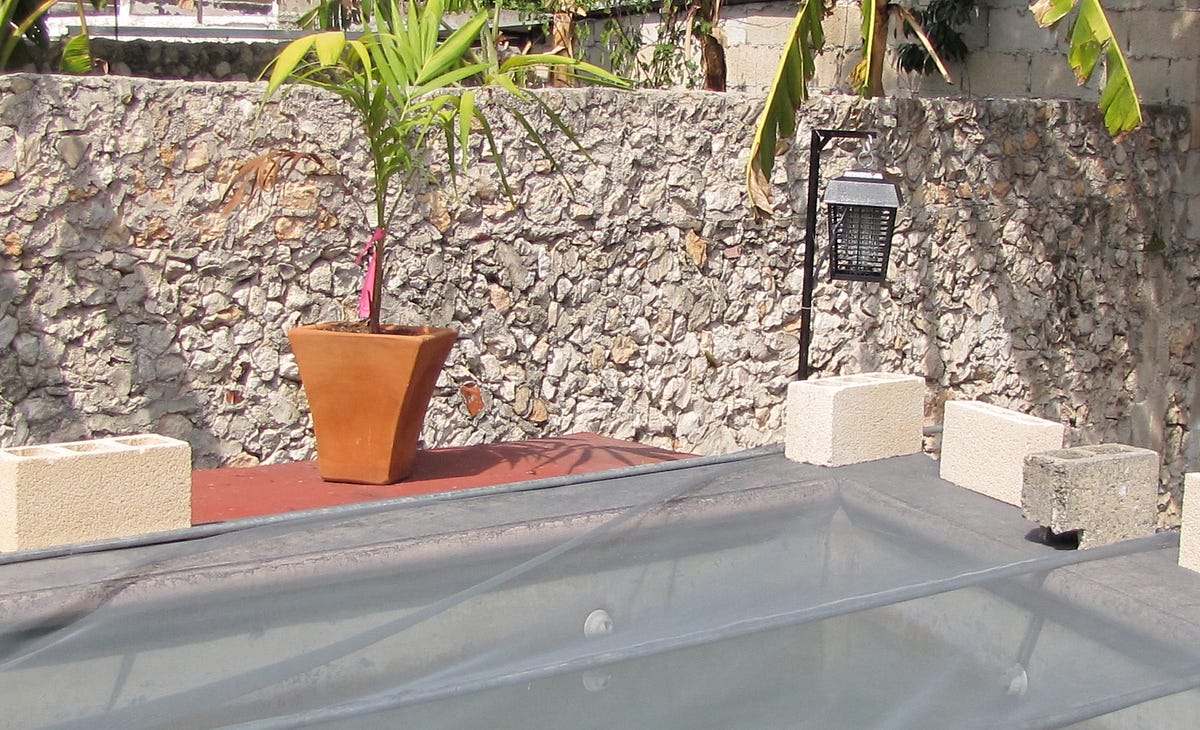 Mosquito control for pools, while vacationing. (Contról de moscas para ...