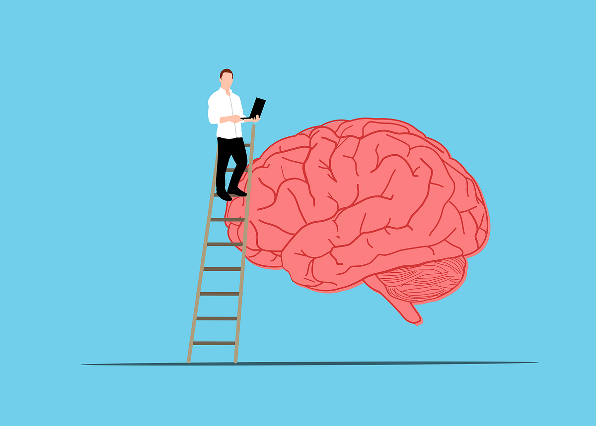 Python’s Hidden Gem: Automate Anything With PyAutoGUI | by Haidar Ali | Python in Plain English