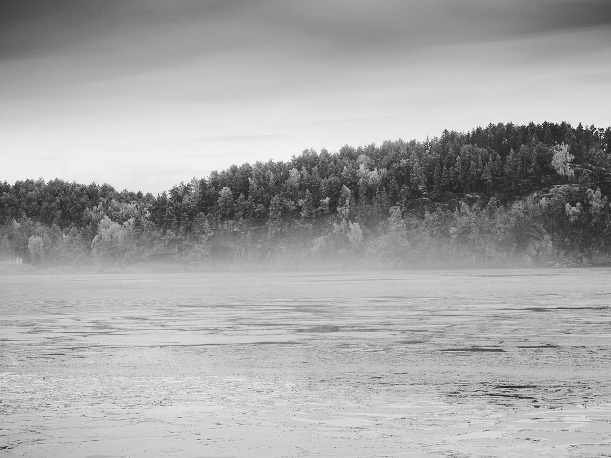 the thing about grieving. | a poem by Shannen Lynne | Medium