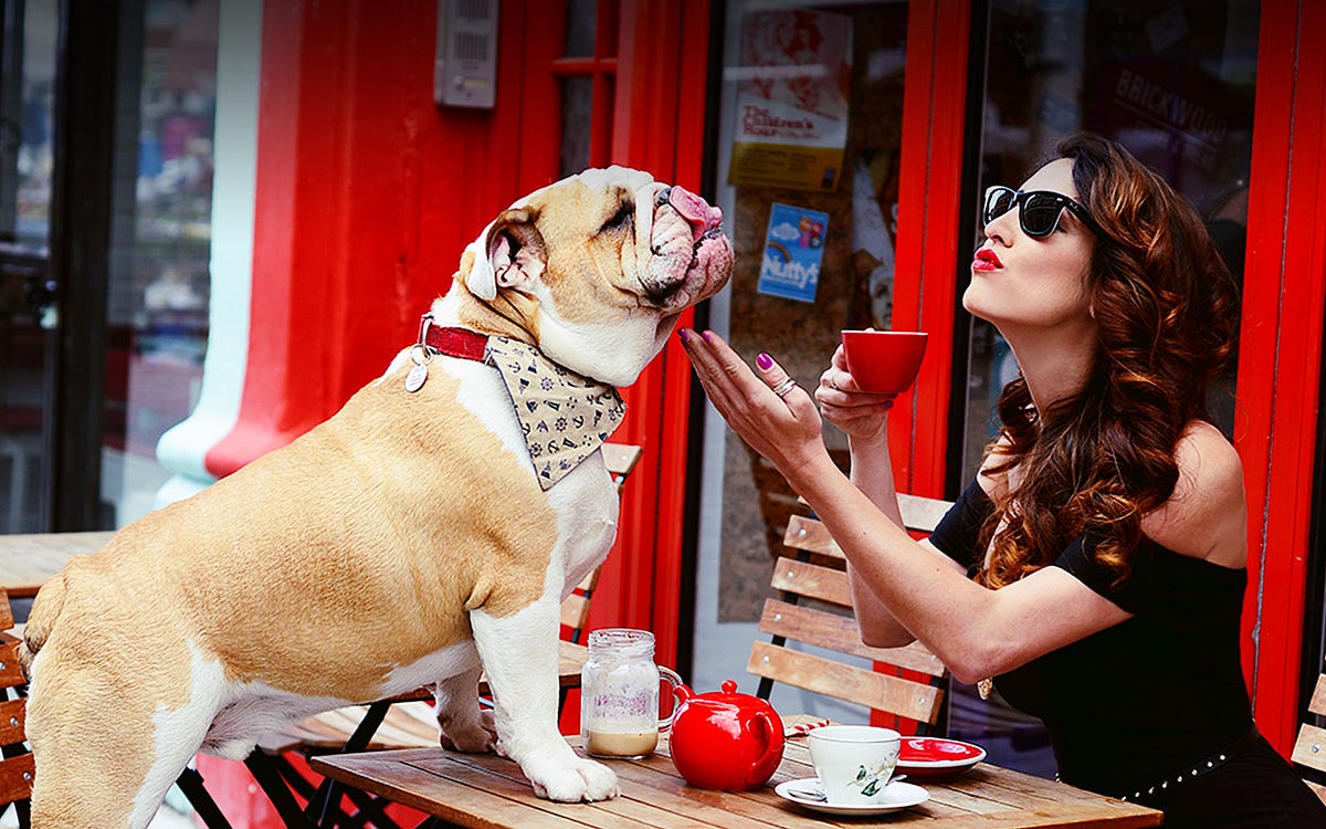 The best cafes to code from in London | by David Batey | Medium