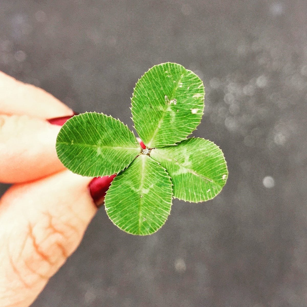 Why We Should All Stop Saying “Good Luck” | by Sam Holstein | Lifework ...