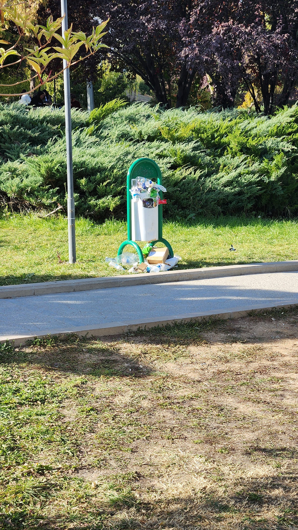 Yetişkin Olmak #3 - Birsu Köymen - Medium