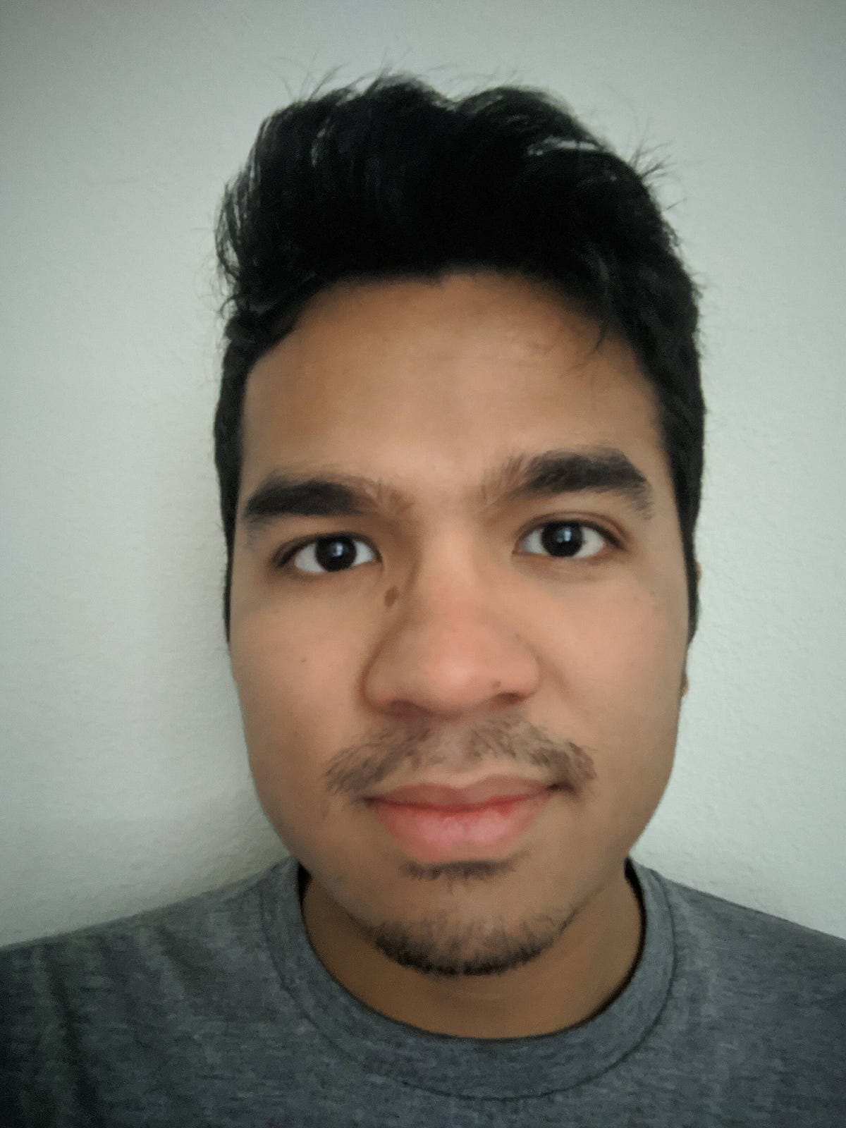CS373 Spring 2020: Gerald Joshua. What did you do this past week? | by ...