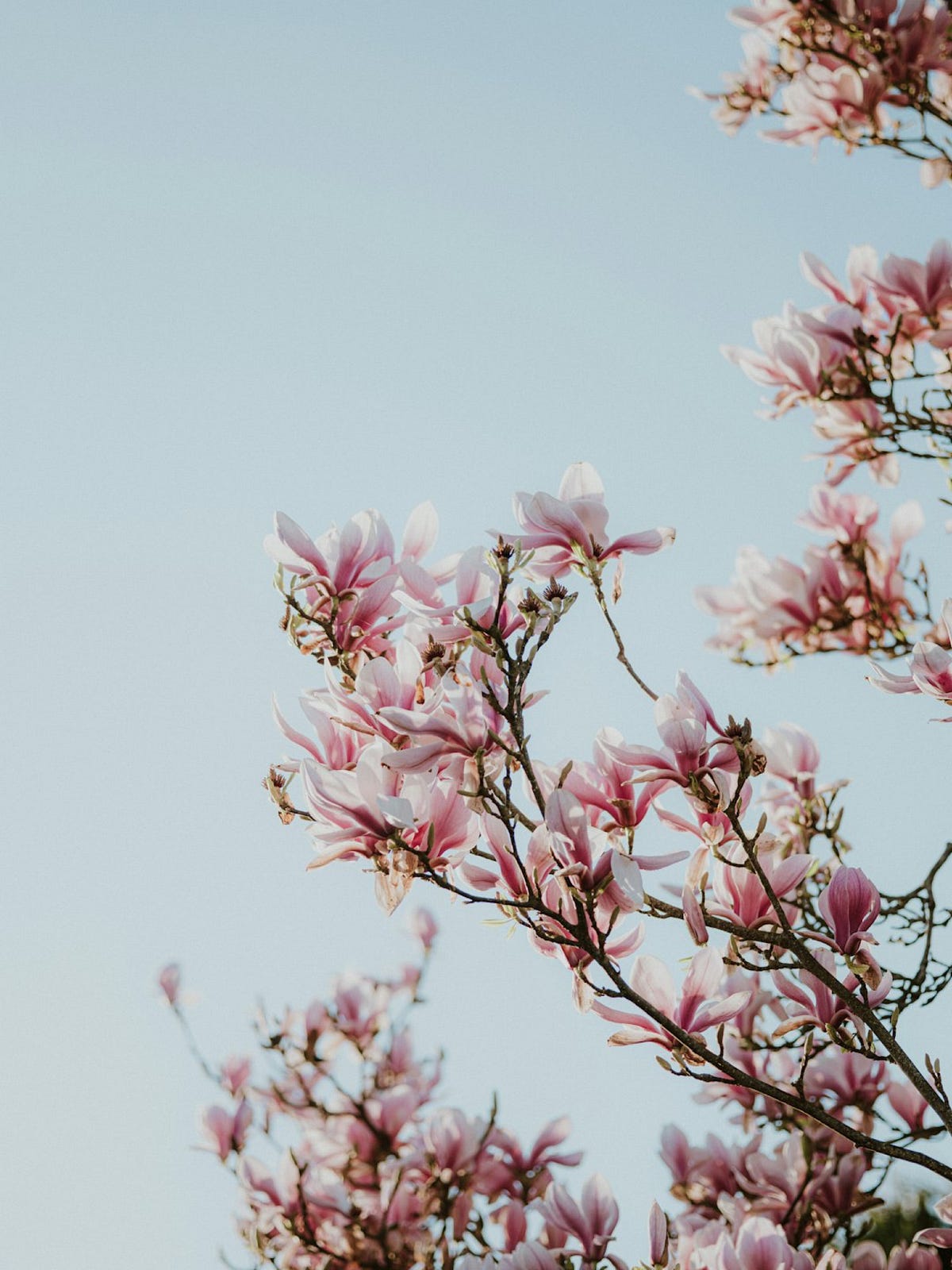 The way of wisdom. Photo by Annie Spratt on Unsplash | by Caroline ...