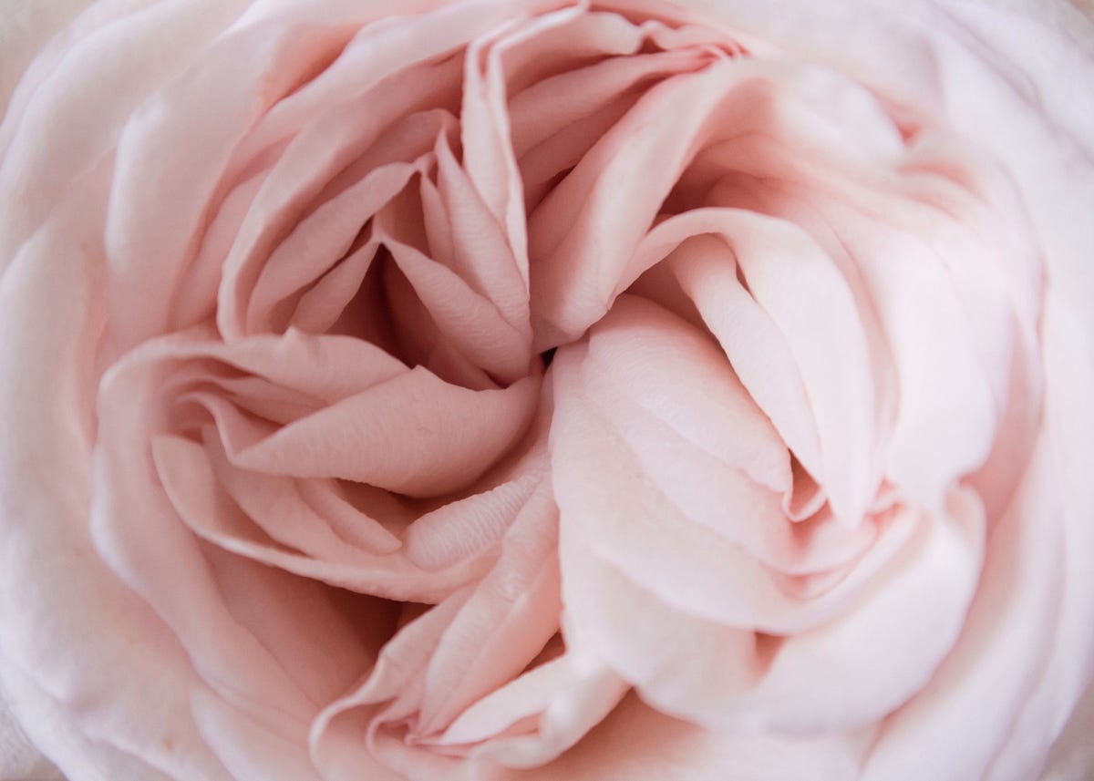 9 Books to Help You Heal Your Feminine Energy | by Emily Grace Smith ...