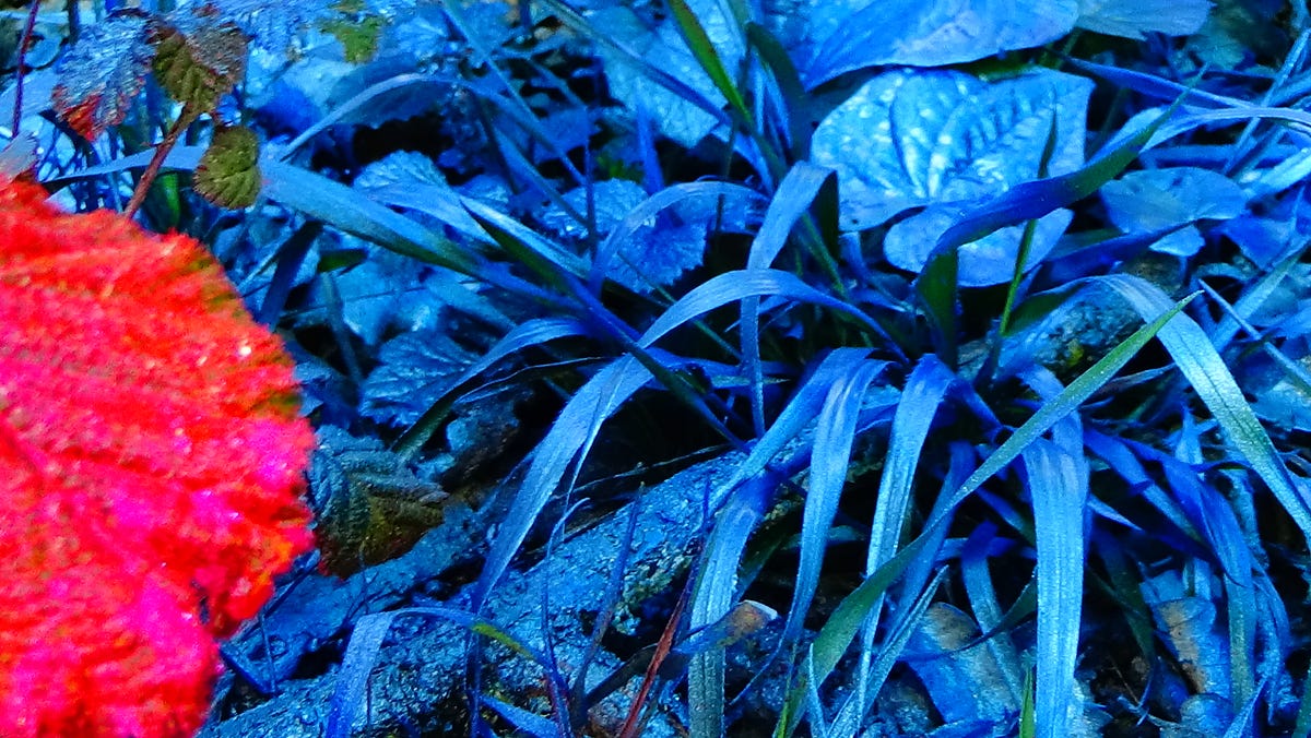 Organic Capitalism. A methodology for combating global… | by Roland ...