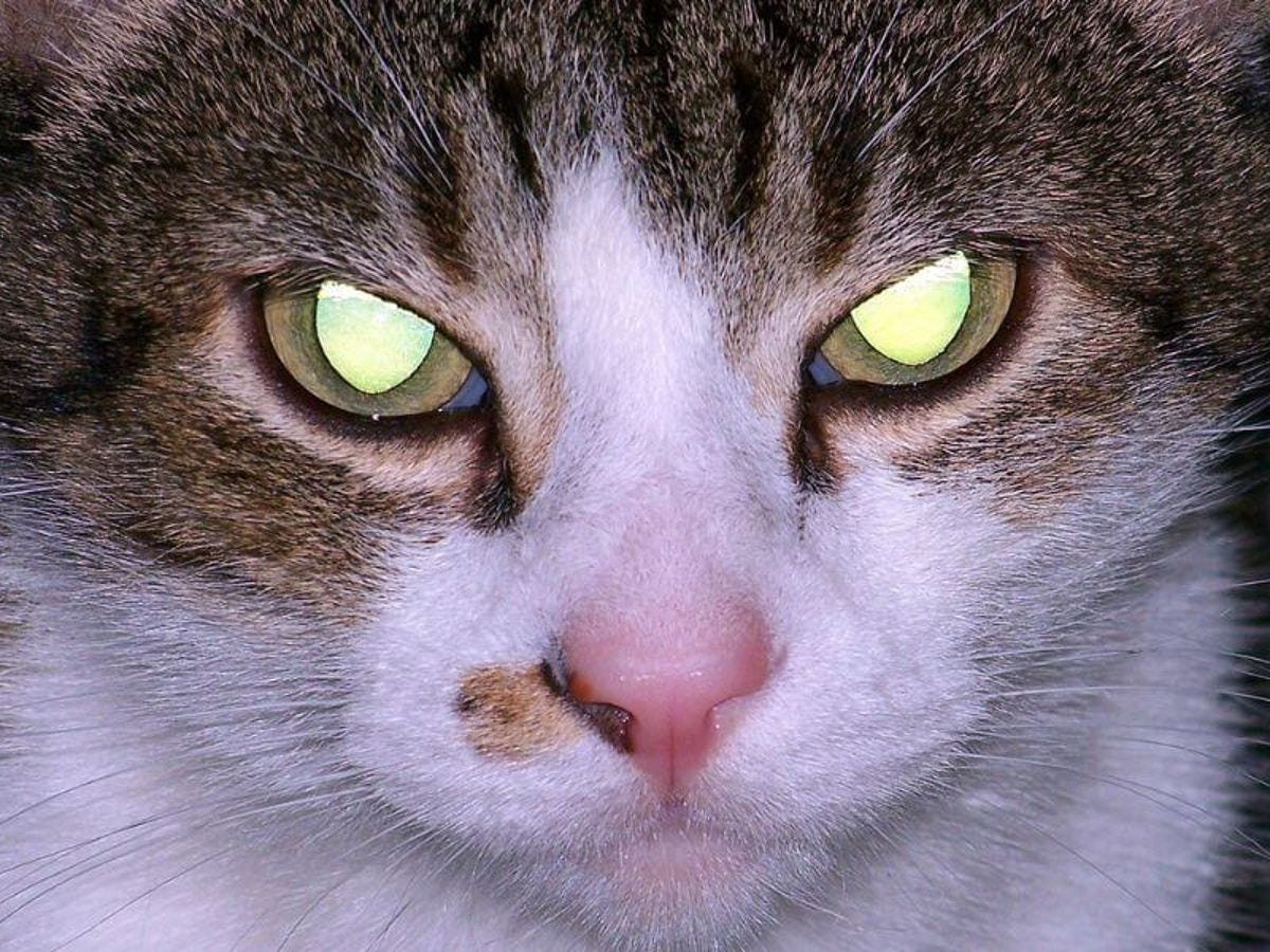 It was 2 am when I felt a tingling sensation in my body. | by Ife Popoola | Nov, 2023 | Medium