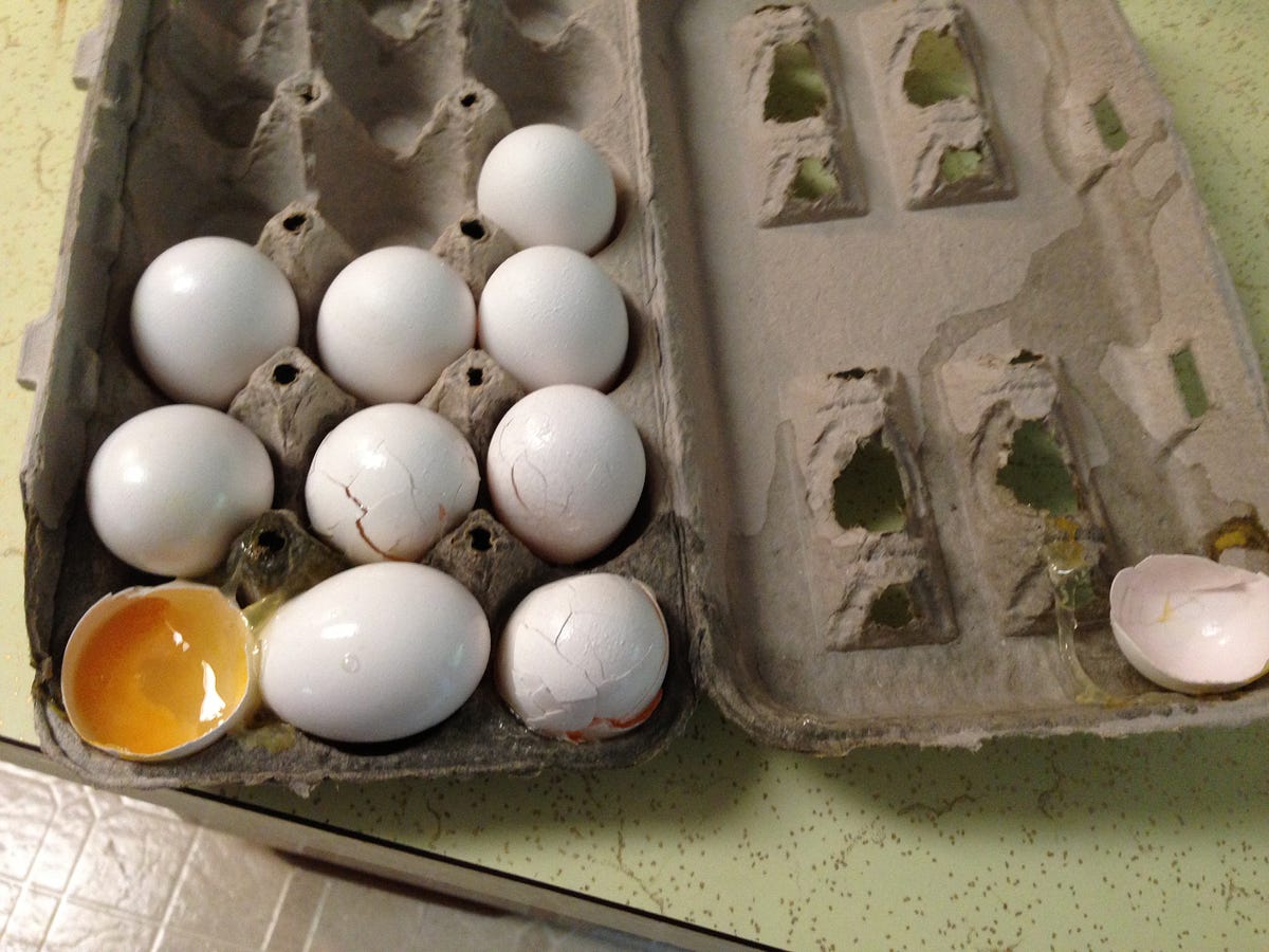 It’s ok to break the eggs. Own your mistakes! | by Levi Belnap | Medium