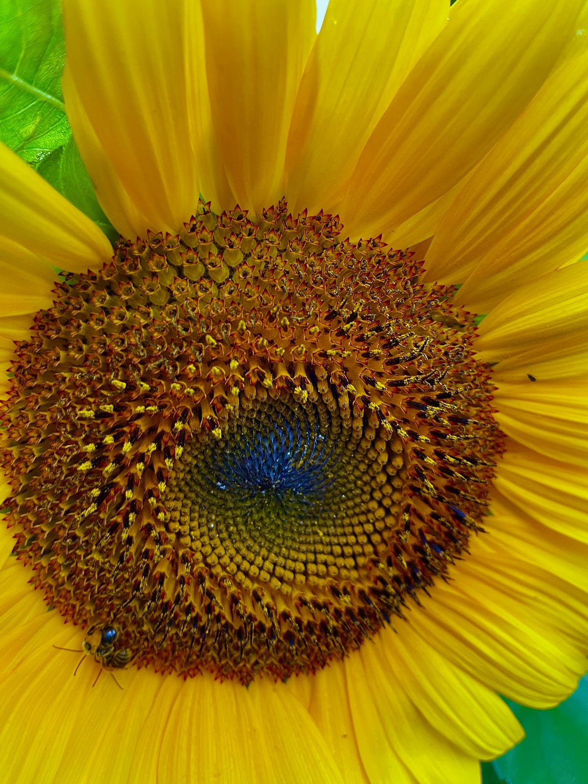 Quest To Stay Bless (QTSB) Day 4. Focus | by Delano Son | Medium