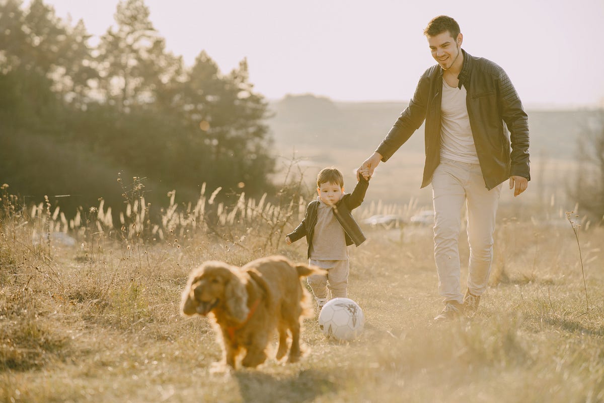 Dog and a Master | Medium