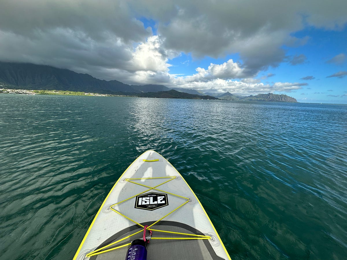 My Oceanic Odyssey: New Beginnings | by Drew Burrier | My Oceanic ...