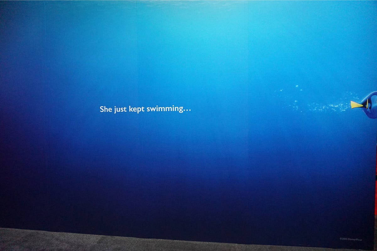 ‘Finding Dory’ Announced with Ellen DeGeneres | by cat carothers | Medium