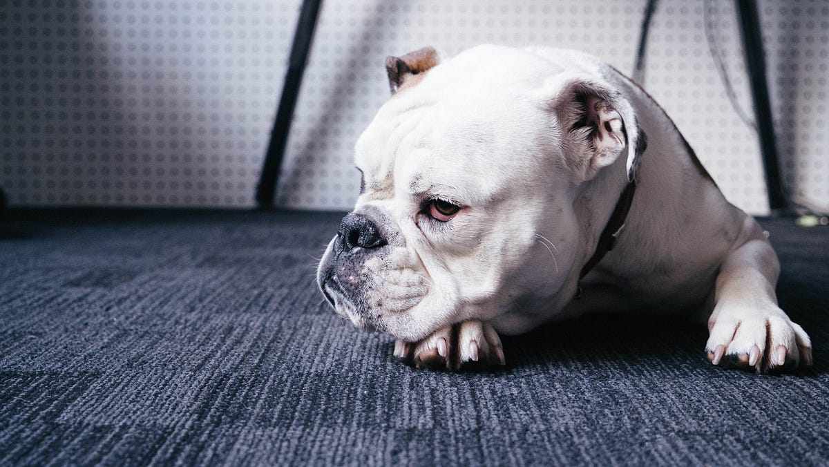 When was the last time you were bored? | by Tuseet Jha | Ascent ...