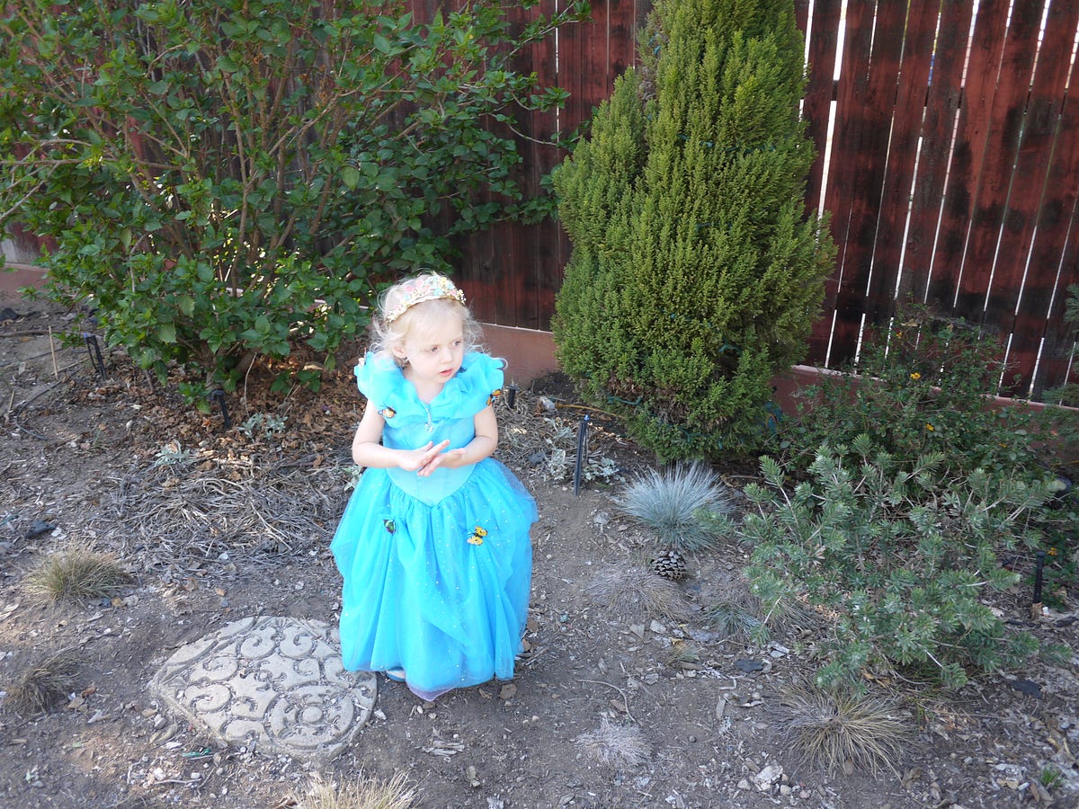 Getting Past My Little Princess Problem | by Katherine Mayfield ...