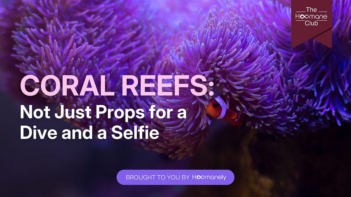 Coral Reefs: Not Just Props for a Dive and a Selfie | by Hoomanely ...