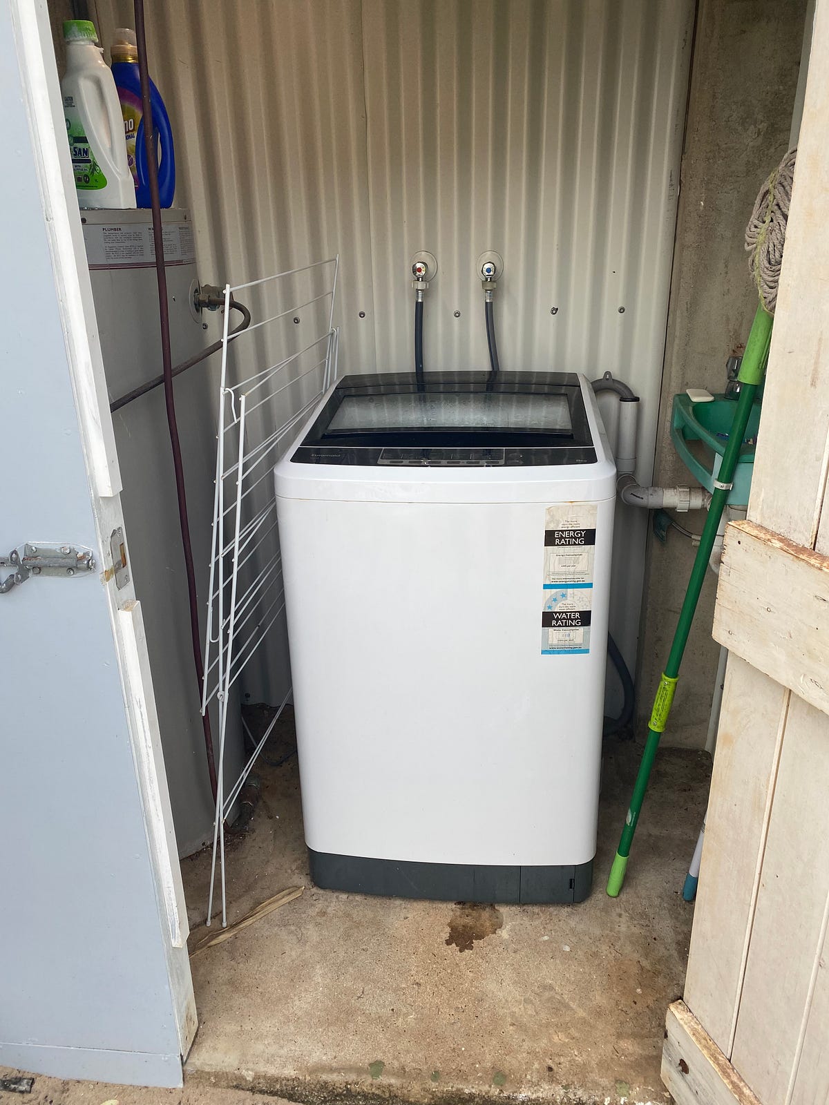 Snake in the Washing Machine - The Daily Cuppa - Medium