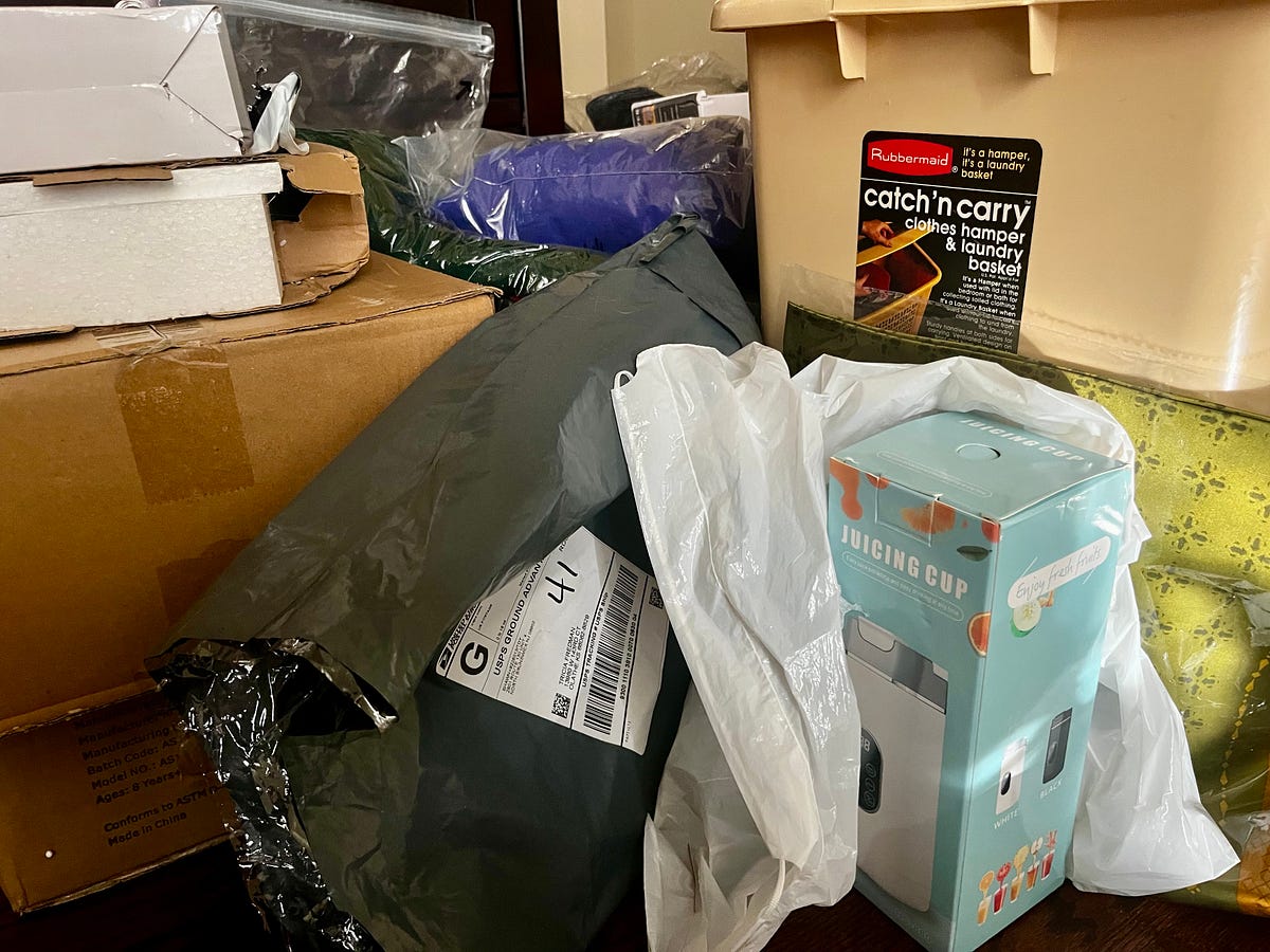 The Temu Deluge: How One Pair of Earrings Flooded Our House with ...
