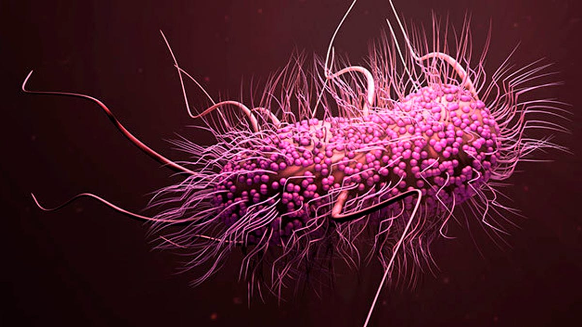Superbugs: A Growing Threat That Could Cost Millions of Lives by 2050 ...