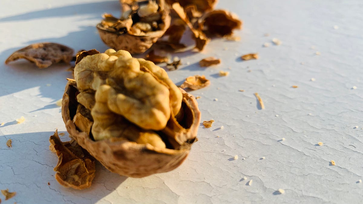 The sound of a cracking Nutshell is music to my ears | by Elvie Lins ...