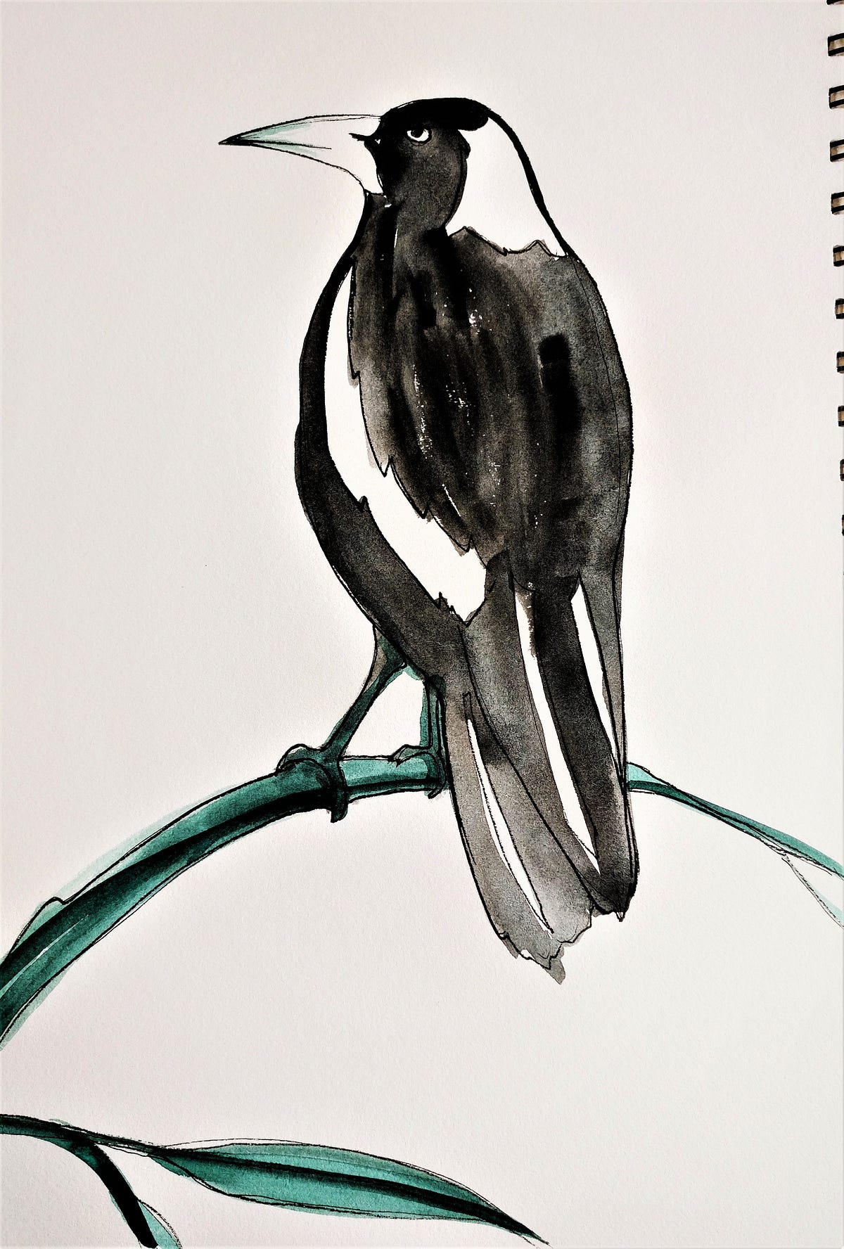 Magpie, An Australian Story. How fear turns into violence | by Maria ...