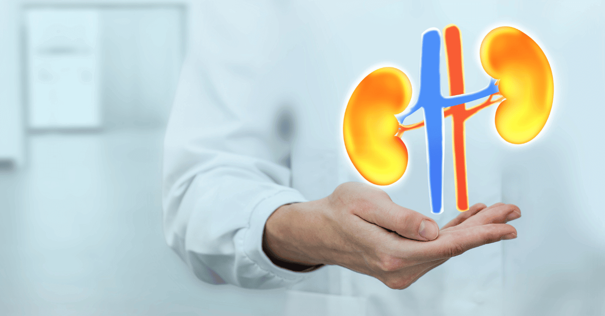 Kidney Health Check: Revolutionary Insights for a Happier, Healthier ...