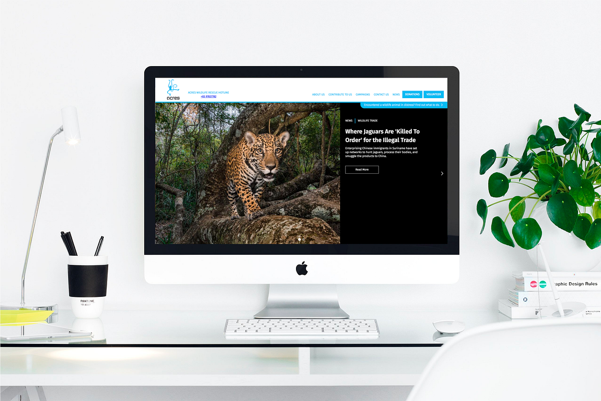 Helping users connect with the animal protection cause — a UX case ...