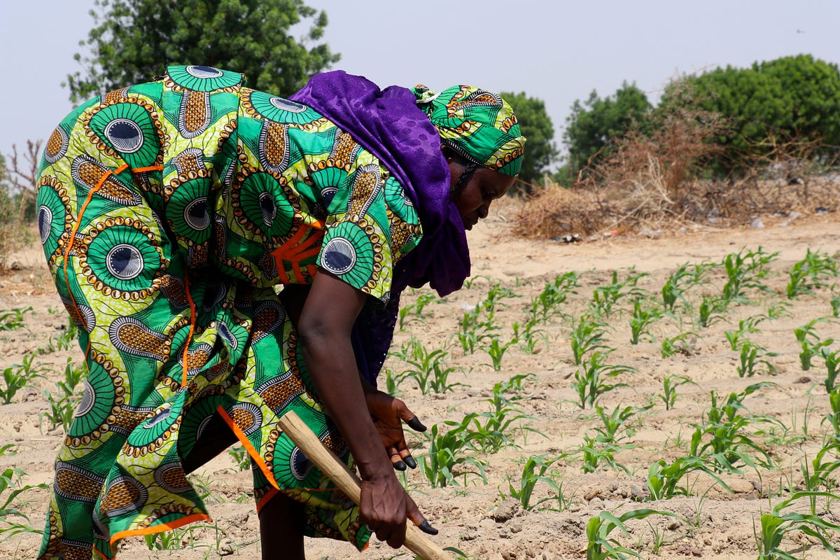 Northeast Nigeria: Changing lives in Kiribiri | by Prince Adedeji ...