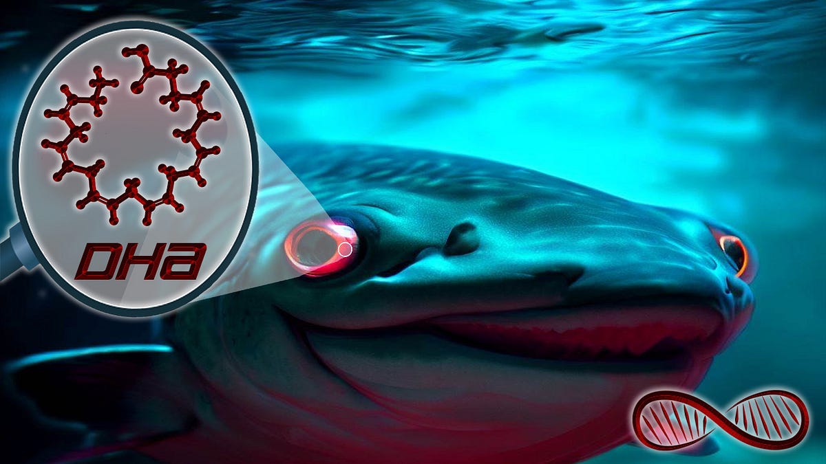 DHA: A fishy omega-3 fatty acid. One of the most essential ingredients ...