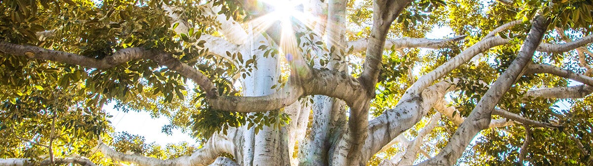 A Place to Belong. By Hollie Roberts — BSF Executive… | by BSF Media ...